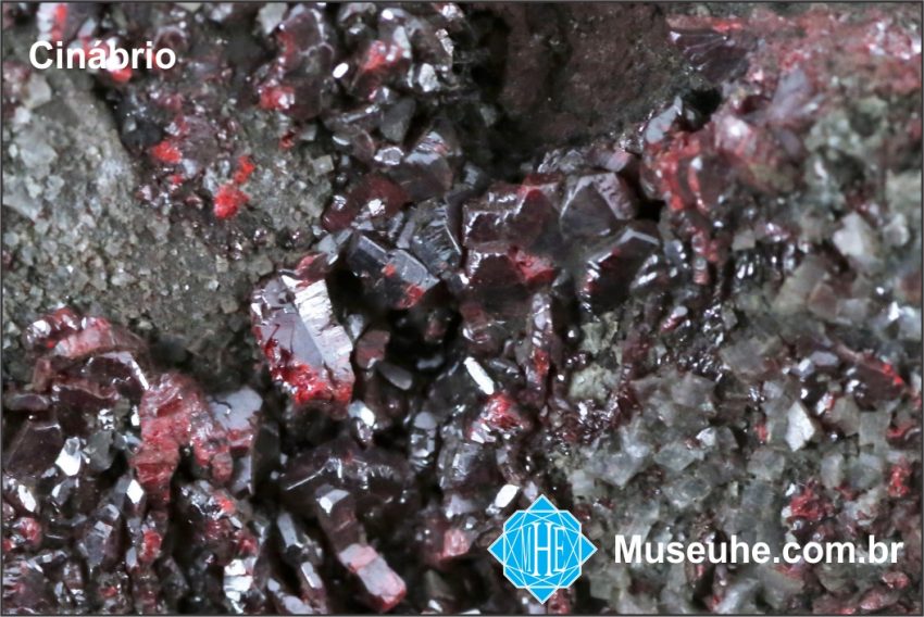 CINÁBRIO (Cinnabar) - Museu Heinz Ebert